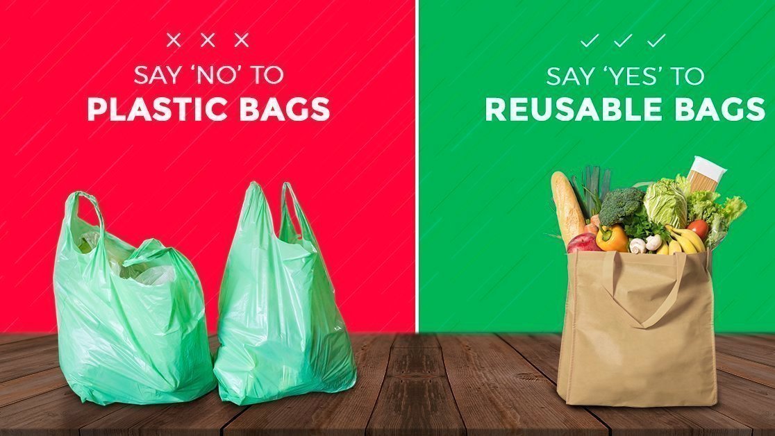 Petition · Shop with reusable bags and help protect the environment ...