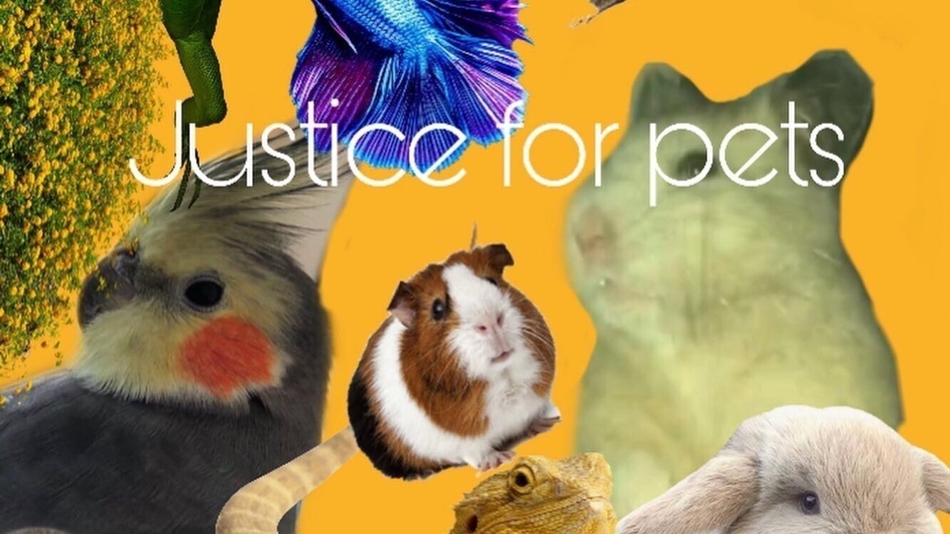Petition · Do research before getting a Pet - Sweden · Change.org