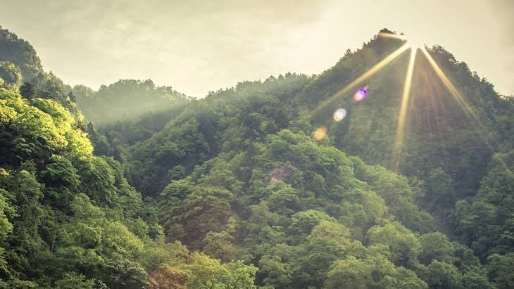 Petition · Stop Abusing Our Nature - Philippines · Change.org