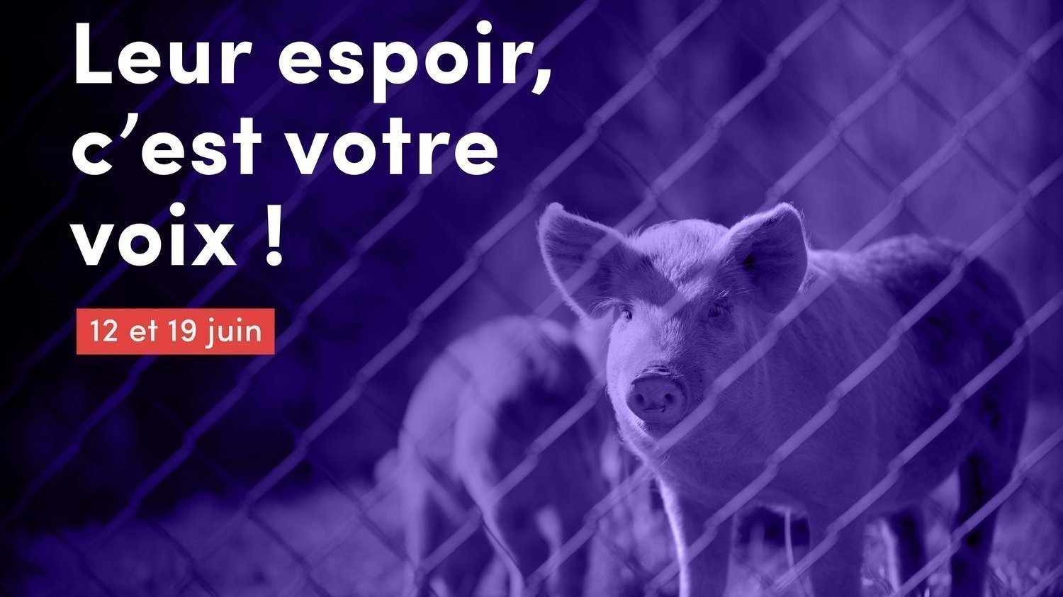 Pétition · Le Parti Animaliste doit rejoindre Mélenchon pour faire ...