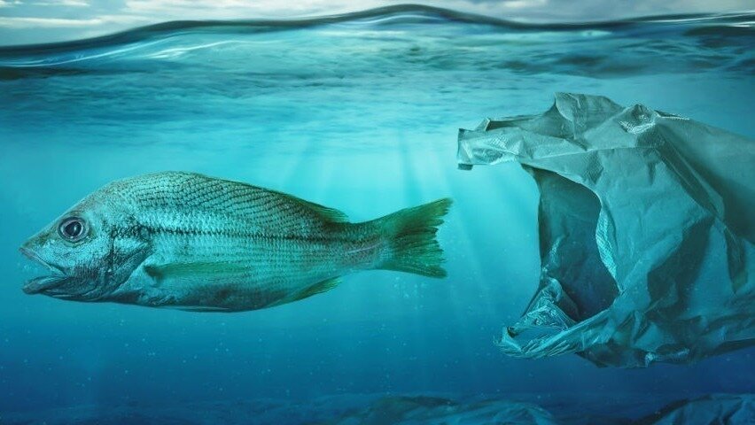 Petition · Stop water pollution - Australia · Change.org