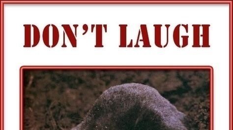 Petition · Make Mr. Martin dress up as a mole for Halloween - United ...