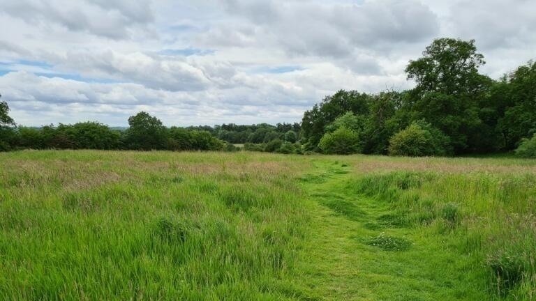 Petition · Build the Homes We Need whilst Protecting Three Rivers Green ...