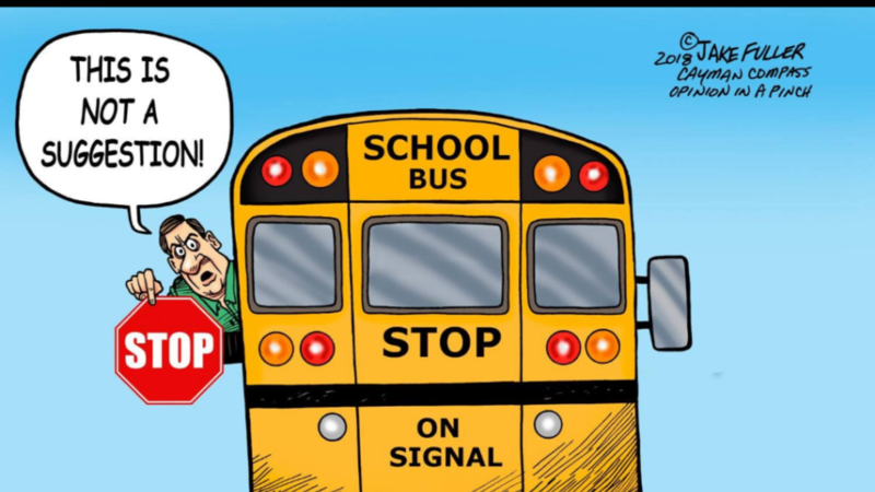 Petition · School Bus Safety · Change.org