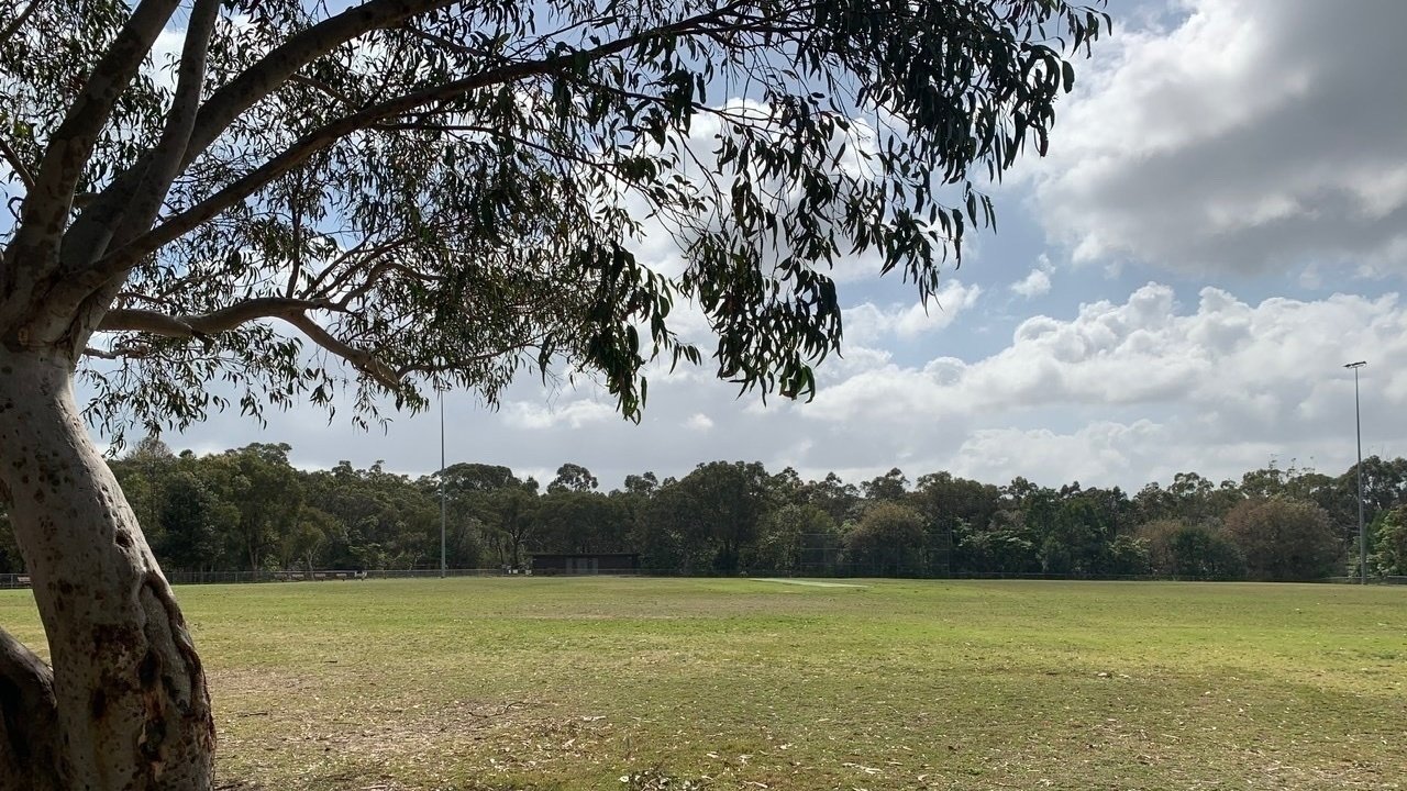 Petition · Keep Natural Grass at Mimosa Oval (Rofe Park), Turramurra ...