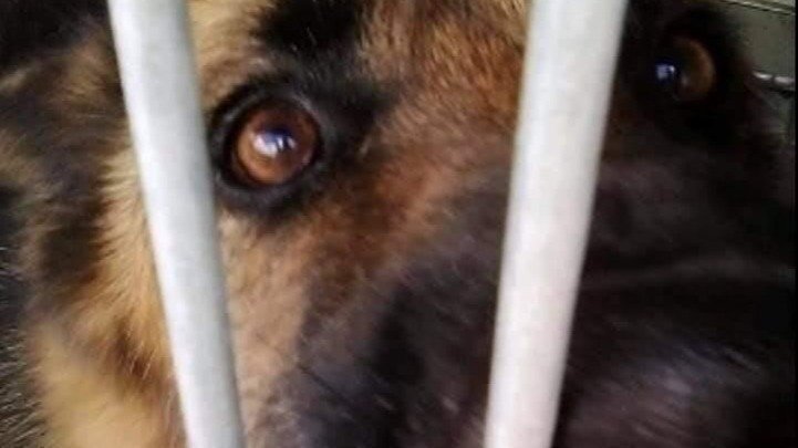 Petition update · Rip · Change.org