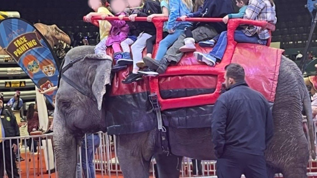 Petition · End the Use of Animals at the St. Paul Osman Shrine Circus ...