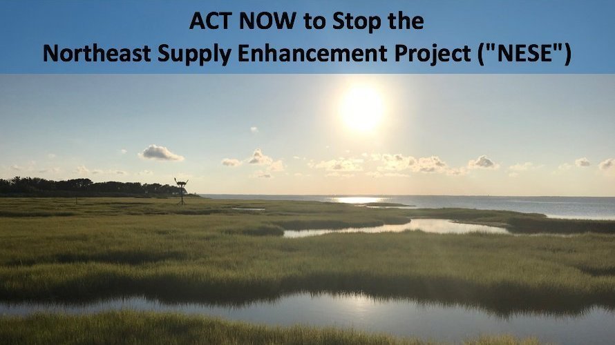 Petition · Demand the NJDEP Deny the Northeast Supply Enhancement ...