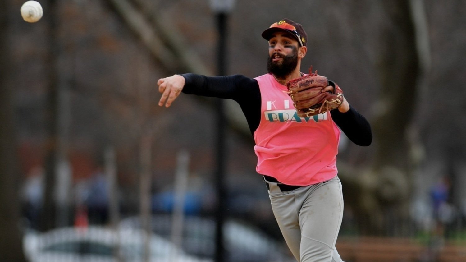 Petition · Rename the McCarren Park Softball Fields in Brooklyn to ...