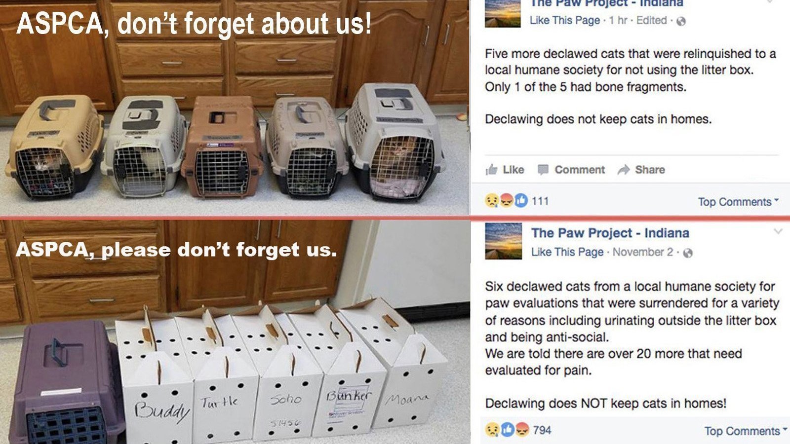 Petition · KinderBeauty . com You Are Supporting Animal Cruelty ...