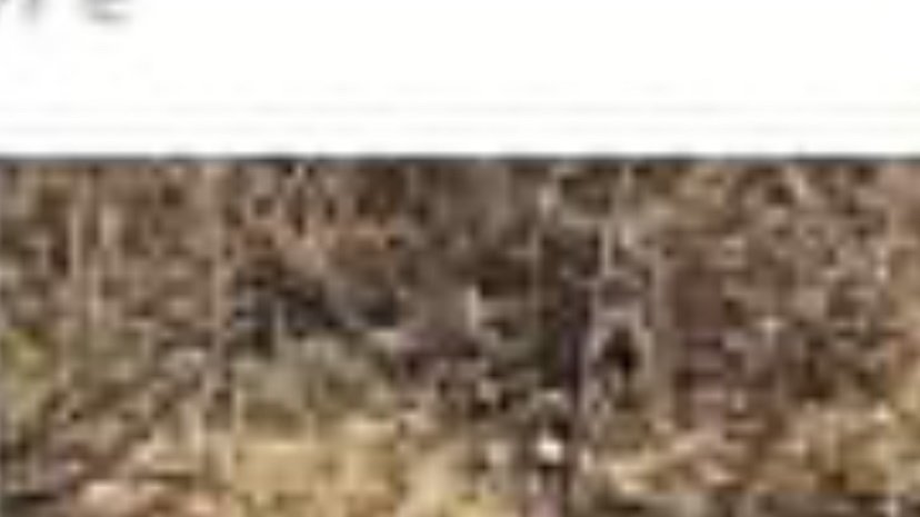 Petition · Stop Cache Animal shelter from euthanizing in only 48 hours ...