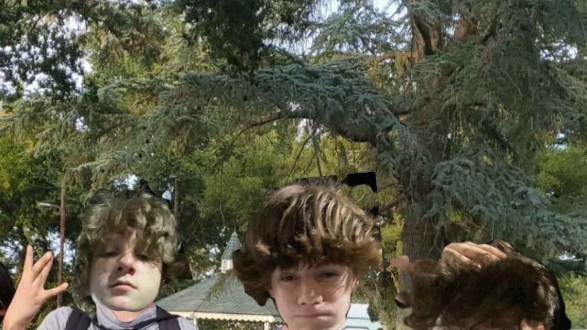 Petition · Free Connor and Palmer - United States · Change.org