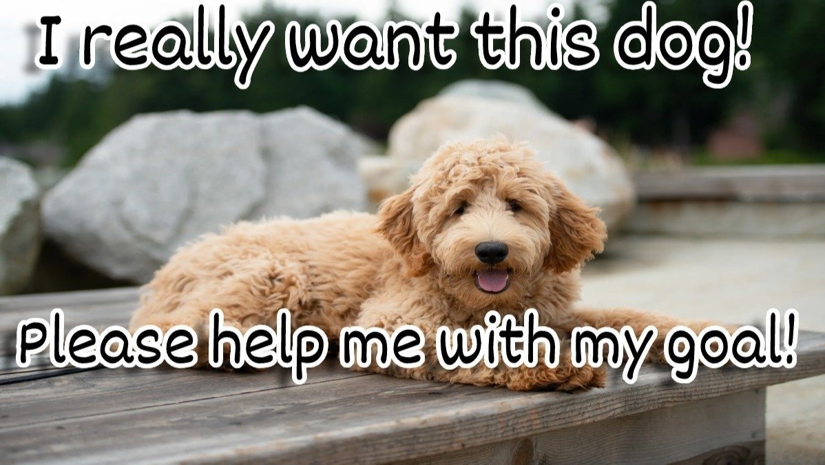 Petition · Convince my parents to get me a dog! - Canada · Change.org