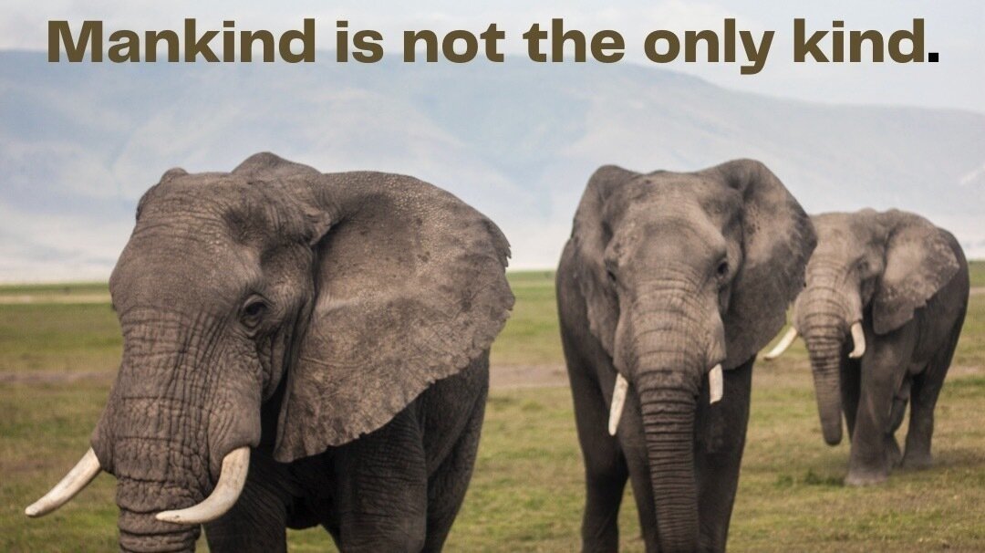 Petition update · Mankind is not the only kind! · Change.org