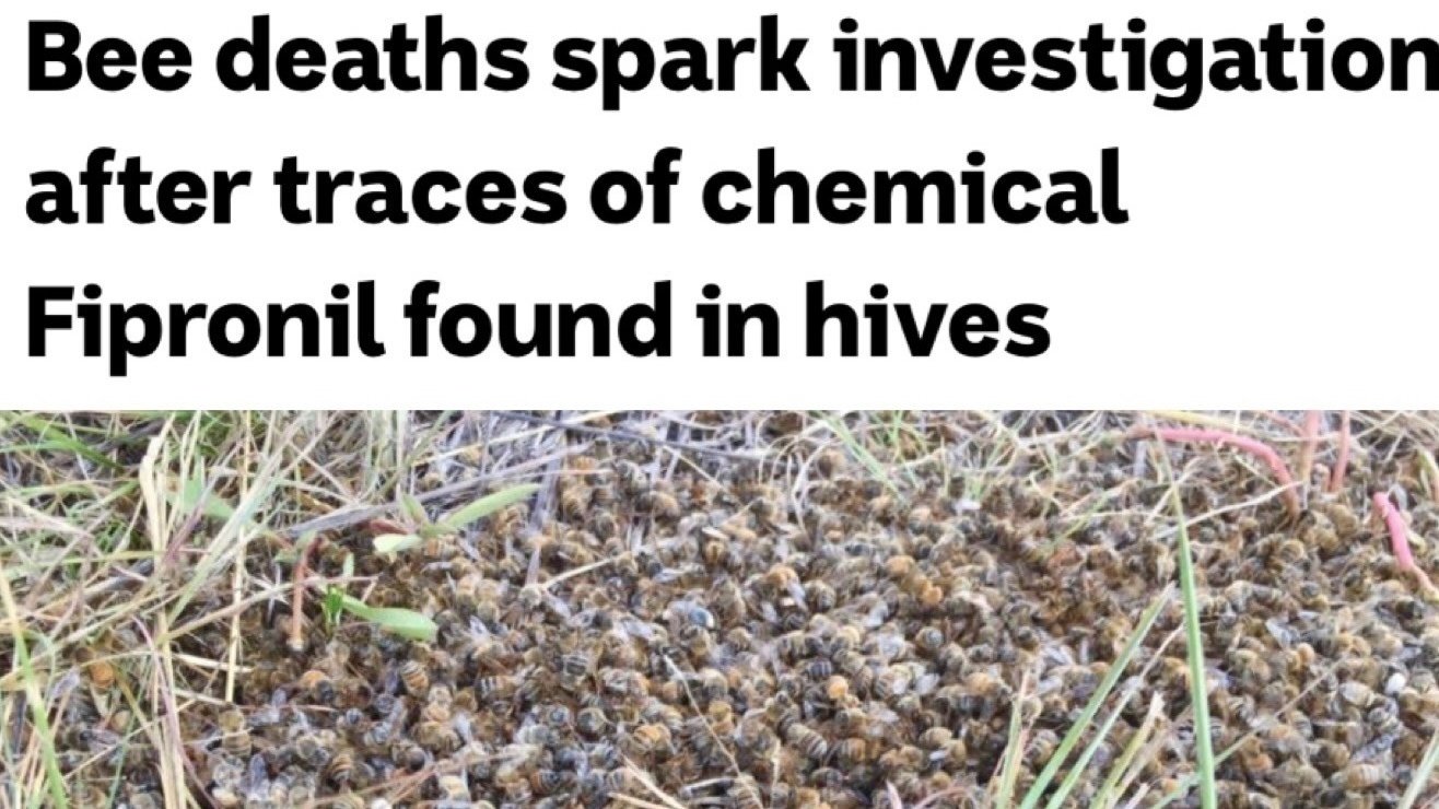 Petition update · Mass Bee Deaths in Queensland · Change.org · Change.org