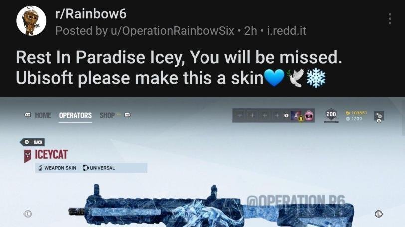 Petition · To get a IceyCat skin in R6 - United States · Change.org