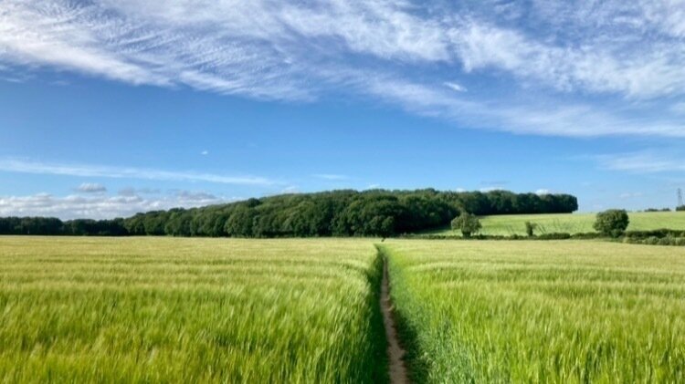 Petition update · Grounds for Objection. · Change.org · Change.org