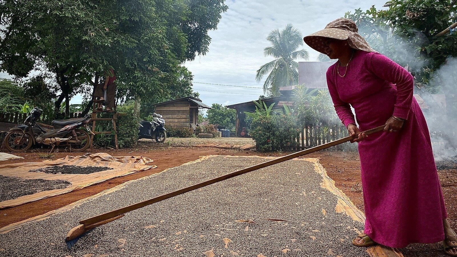 Petisi · SELAMATKAN PETANI DAN PEREMPUAN LOEHA RAYA DARI EKSPANSI ...