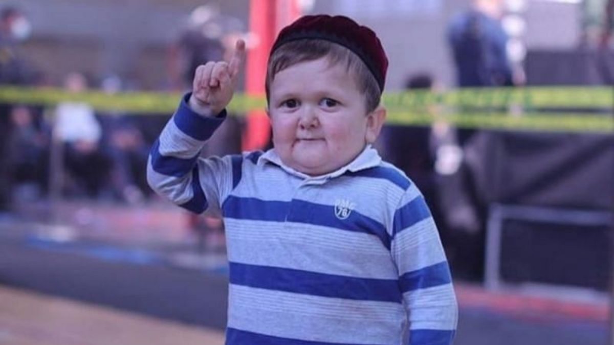 Petition · Save Hasbulla From The Russian Draft - Canada · Change.org