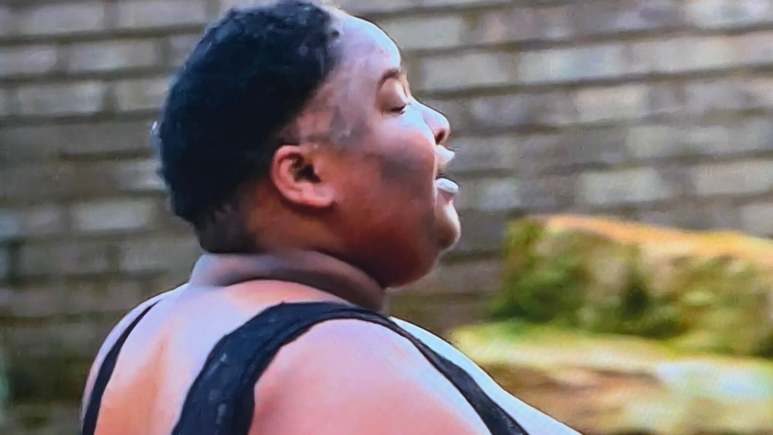 Petition · Remove Rollie from Our Screens for Better Viewing Experience ...