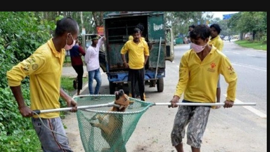 Petition · To increase penalty or non bailable imprisonment for people ...