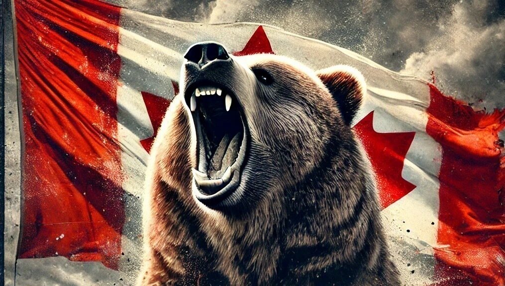 Petition · Stand with Canadians a petition to US Congress - United ...