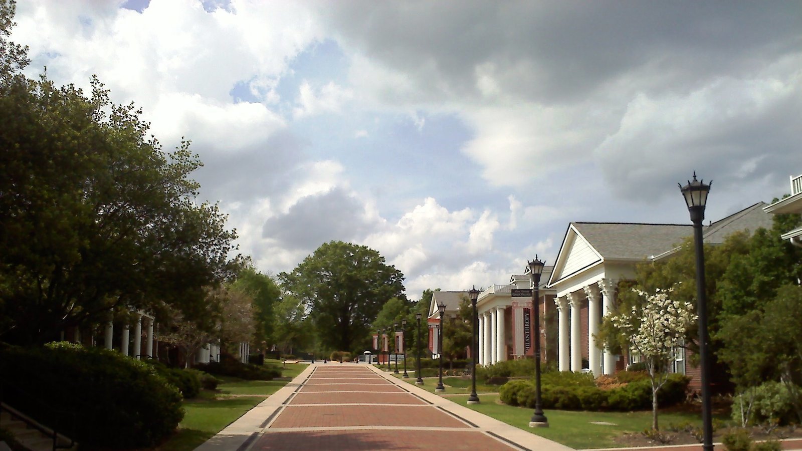 Petition · Return Mercer Greek Housing Bear Card Access to All Chapter ...