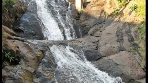 Petition · Metsi Pompong · Change.org