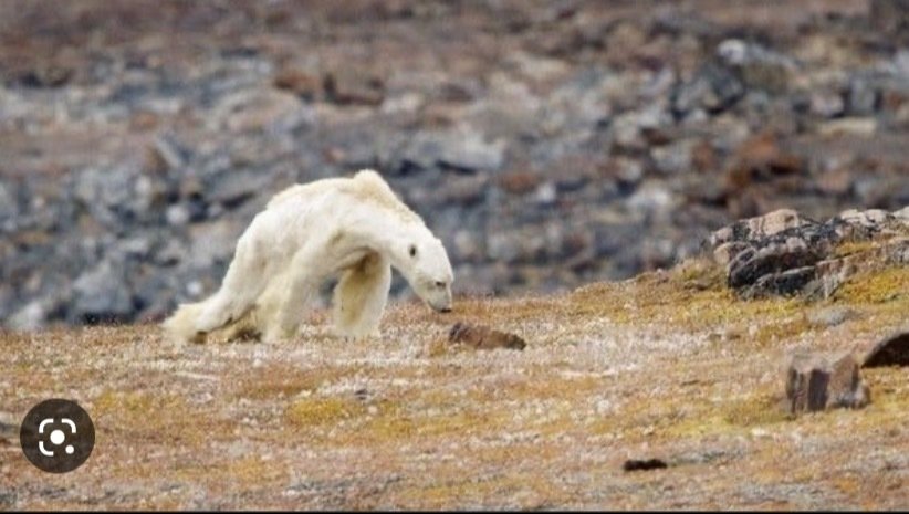 Petition · STOP THE WILLOW PROJECT!! - United States · Change.org