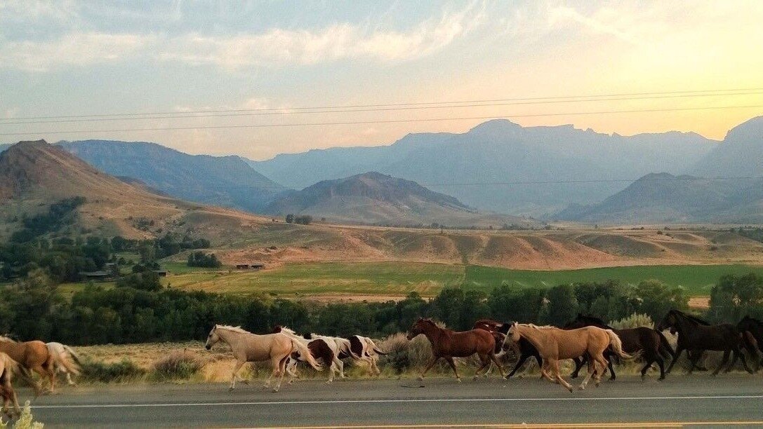 Petition · Stand with Cody, Wyoming against the Church of Jesus Christ ...