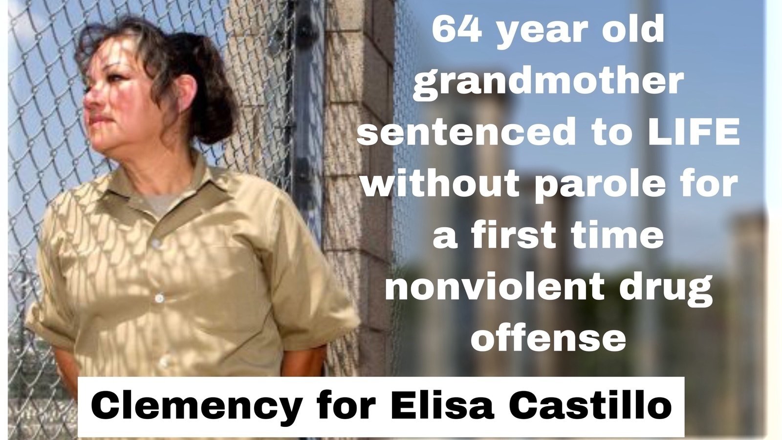 Petition · Clemency for Elisa Castillo A Non-Violent Drug Offender ...