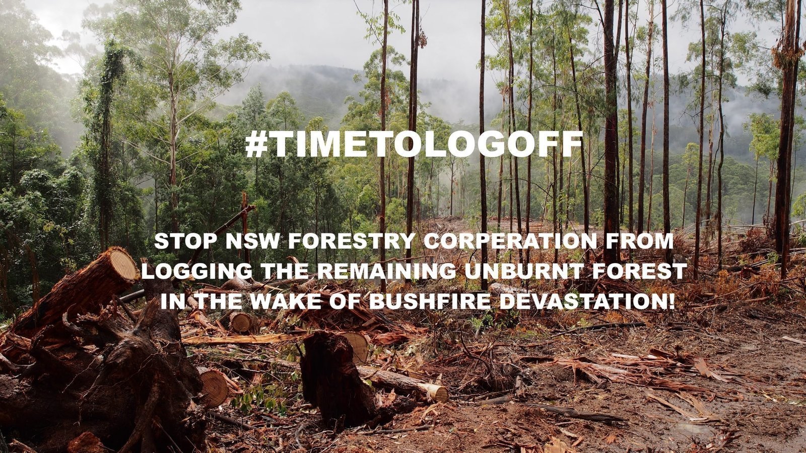 Petition · Halt the extinction of native species, stop logging unburnt ...