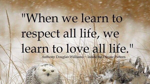 Petition · Stop The Inhumane Slaughter Methods of Animals for ...