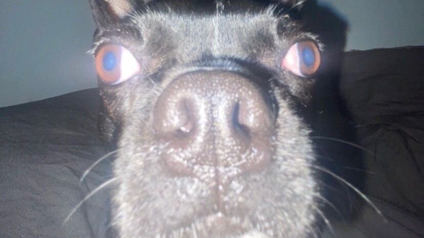 Petition · Bring Kaylee Nguyen Back Home from Texas to Kansas - Wichita ...