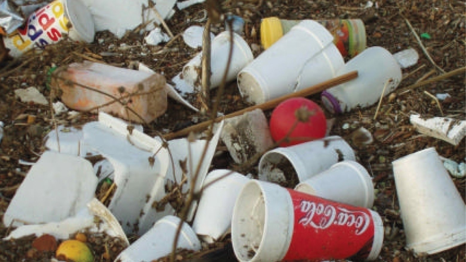 Petition · Biodegradable packaging in all fast food restaurants. Stop ...