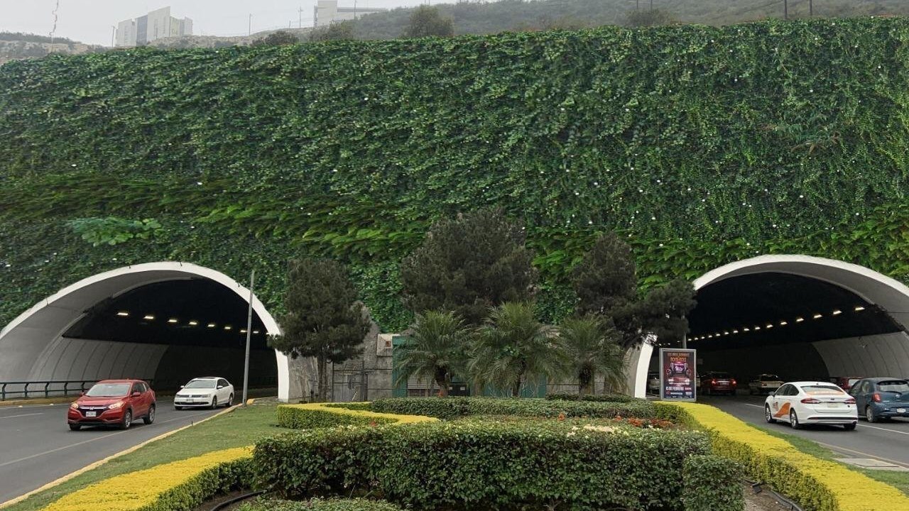 Petición · El Jardín Vertical Más Grande Del Mundo en México - México ...