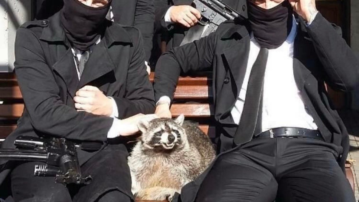 Petition · To have raccoons live like people - United States · Change.org