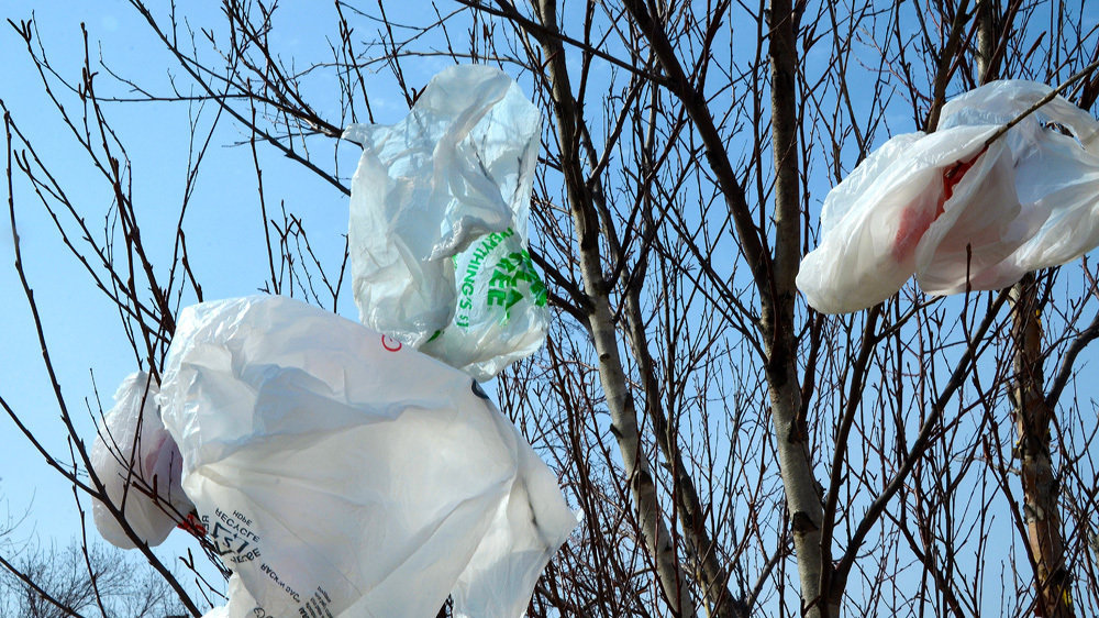 Petition · Get Rid of Single-Use Plastic Bags in Providence ...