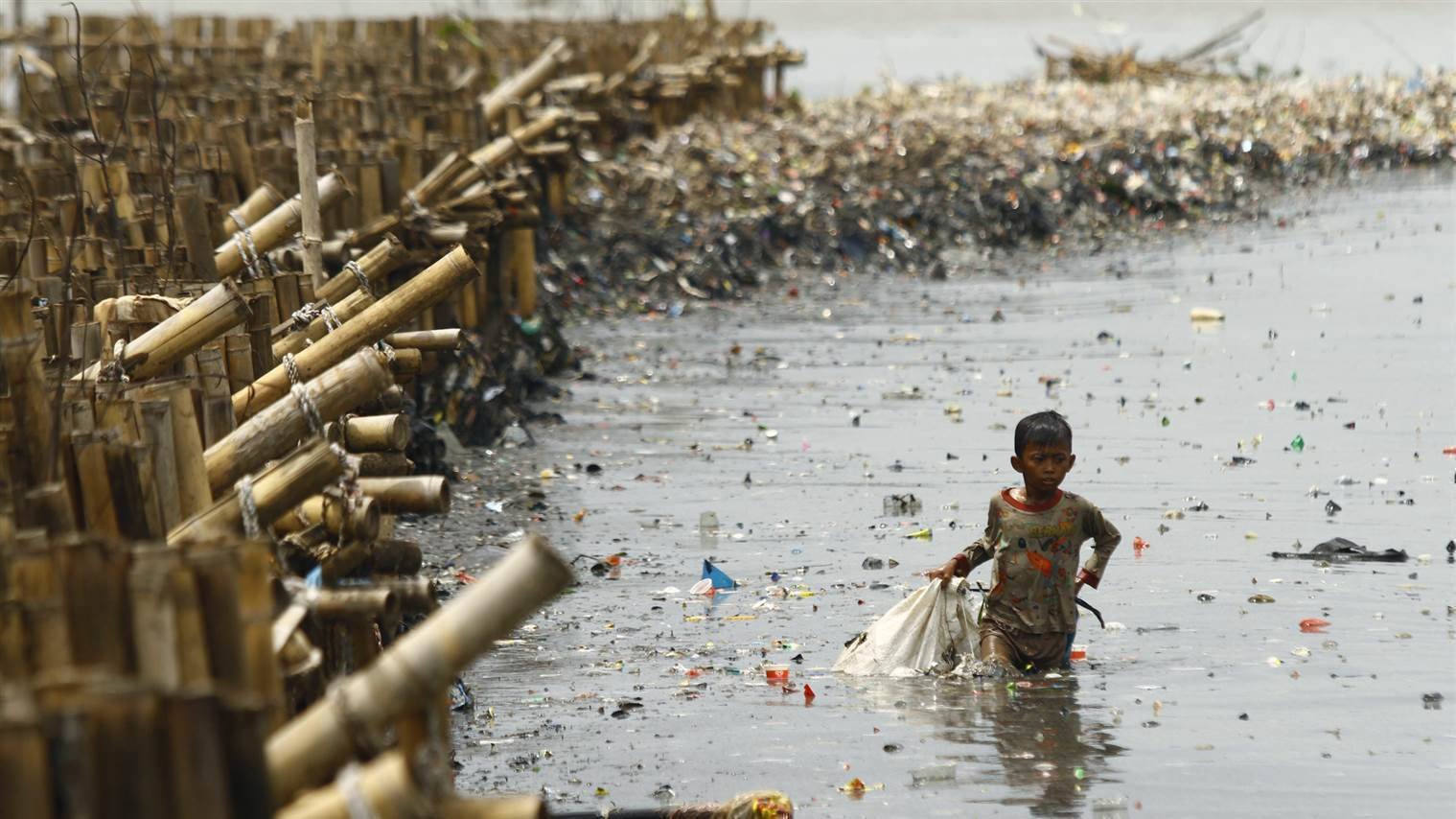 Petisi · End Littering and Burning of Trash - Indonesia · Change.org
