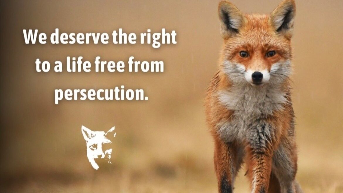 Petition · Turn LEGAL Fox Pens to ILLEGAL!! - United States · Change.org