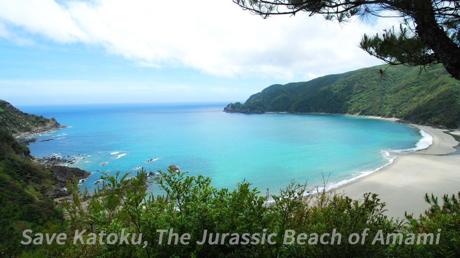 Petition · Save the last "Jurassic Beach" of Amami - Japan · Change.org