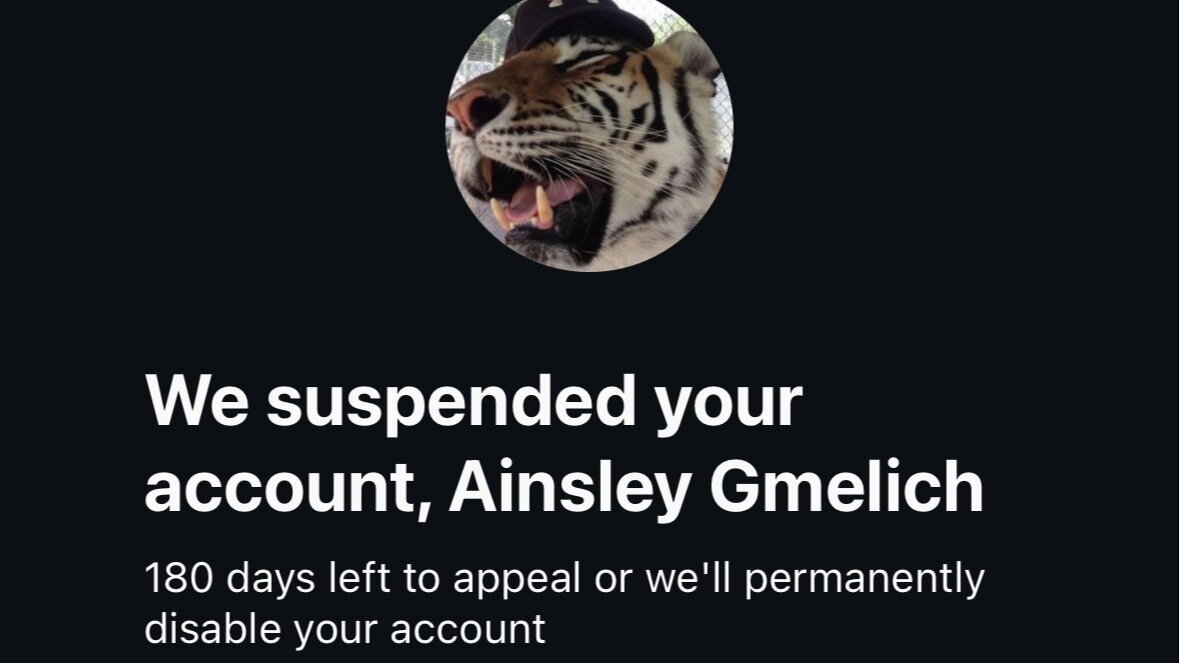 Petition · Unban Ainsley Gmelich - United States · Change.org