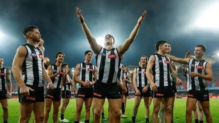 Petition · Investigation into AFL umpires, Brett Rosebury and Matt ...