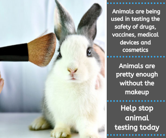 Petition · Help Stop Animal Testing! - Canada · Change.org
