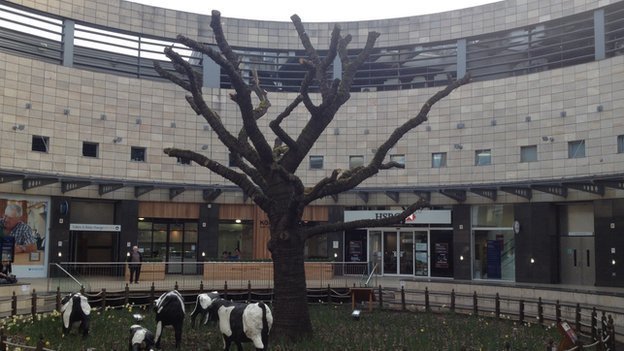 Petition · Don't allow another tree to die at the intu shopping centre ...