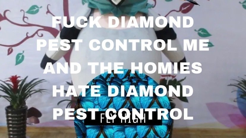 Petition · BOYCOTT DIAMOND PEST CONTROL! - United States · Change.org