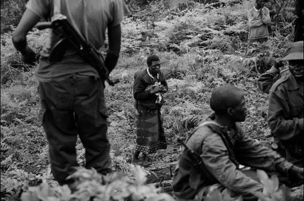 Petition · African Union, African Governments: Acknowledge the genocide ...