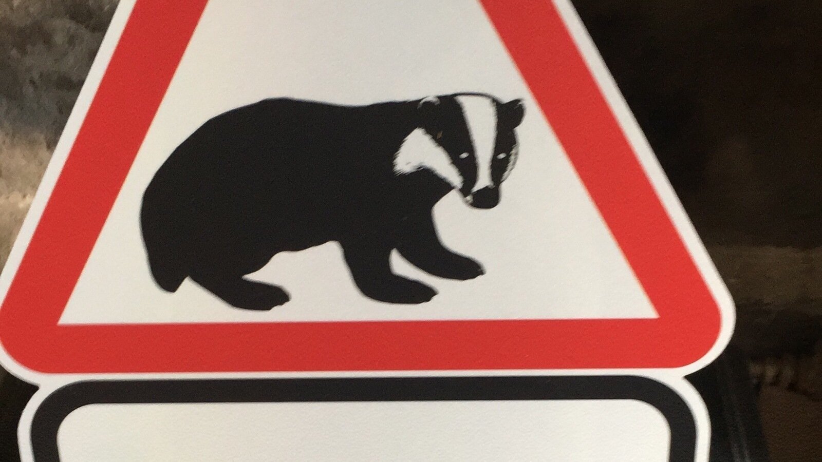 Petition · Help keep badgers off our dangerous roads Badgers on the A61 ...