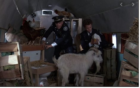 Petition · Animals and our people need introducing the Animal Police ...