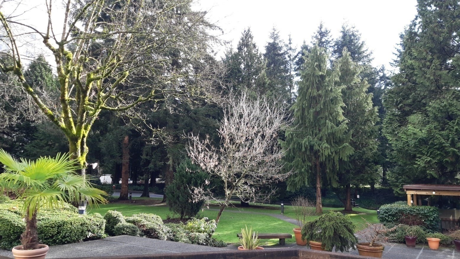 Petition · Help preserve WOODCROFT Park and Ecosystem - Canada · Change.org